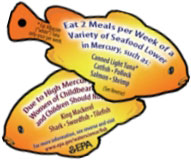 National Listing of Fish Advisories: General Fact Sheet 2010 | Fish ...